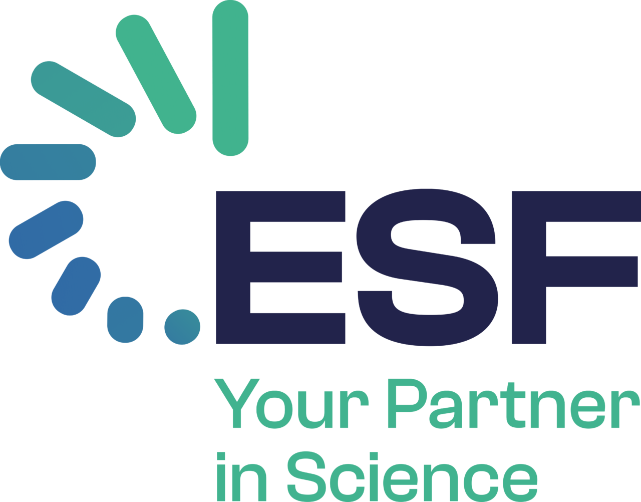 Consortium - GenderSAFE