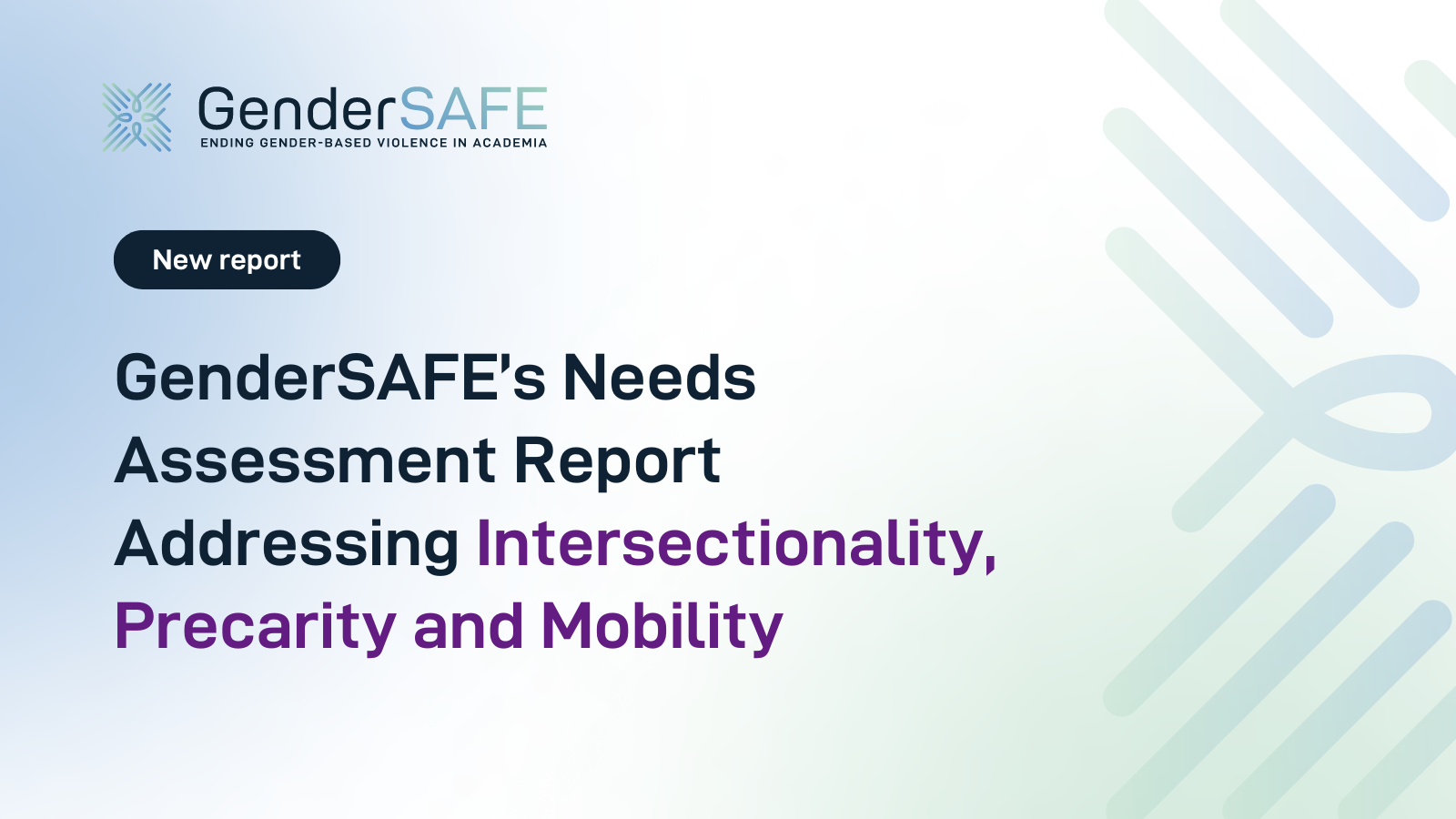 GenderSAFE’s Needs Assessment Report Addressing Intersectionality ...